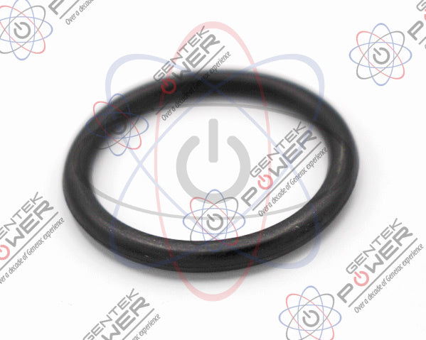 Generac 0G10080280 2.4L Mitsubishi Water Pipe O Ring – Gentek Power ...