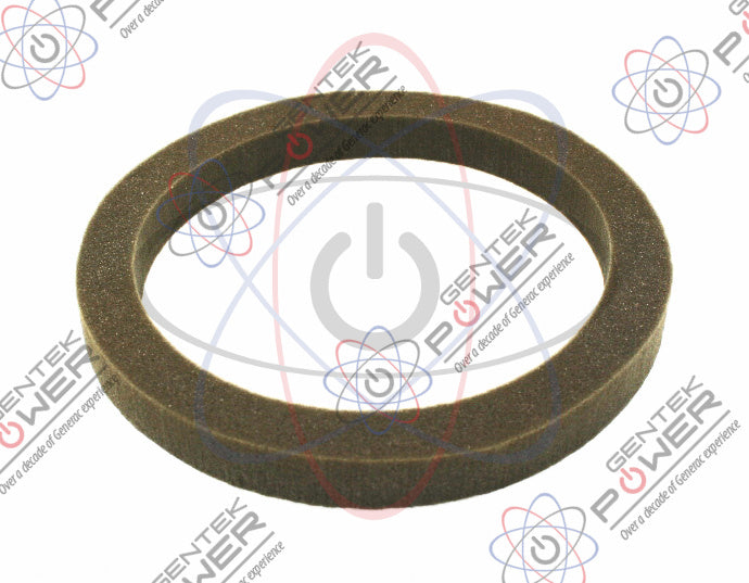 Generac 0D2588 Front Divider Panel Gasket – Gentek Power Generac Parts