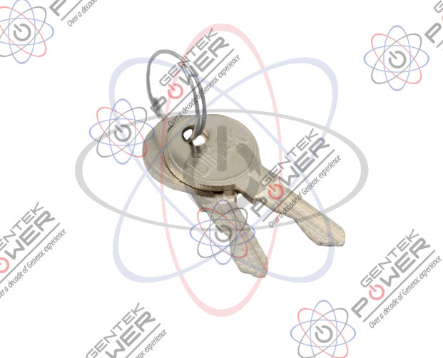 Generac 0D3037K Door Lock Keys 1333 – Gentek Power Generac Parts
