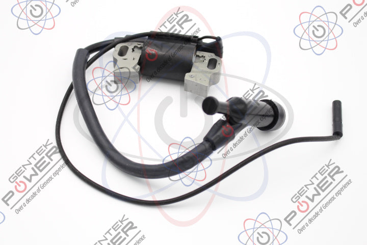 Generac 0G84420150 Ignition Coil Pack For Air Cooled PowerPact & Porta ...