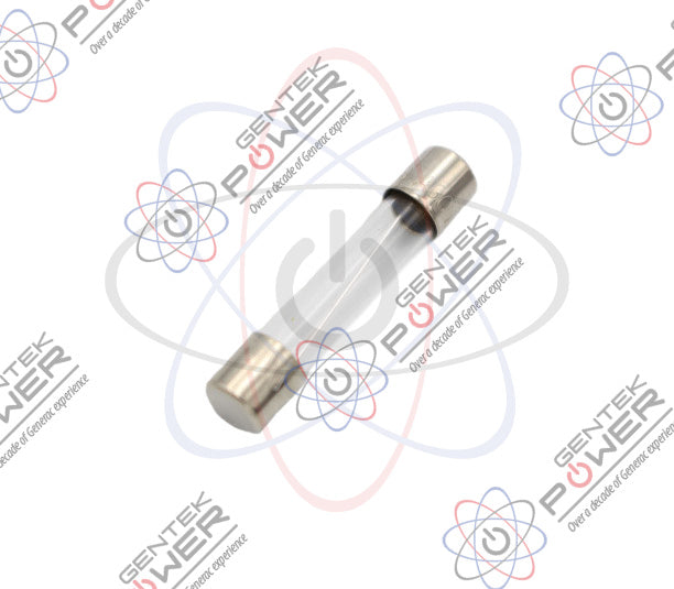 Generac 022676/G022676 15A Fuse For Control Panels – Gentek Power ...